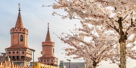 Sightseeing in Berlin: Tipps & Touren | visitBerlin.de