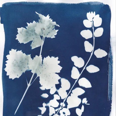 Cyanotype - Blueprint at Spreepark | visitBerlin.de