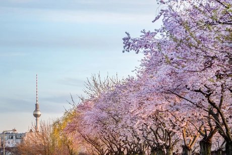 The Spring Map for Berlin | visitBerlin.de