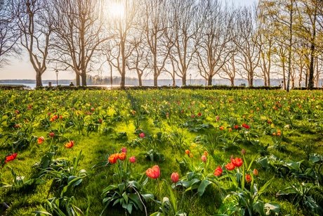 The Spring Map for Berlin | visitBerlin.de