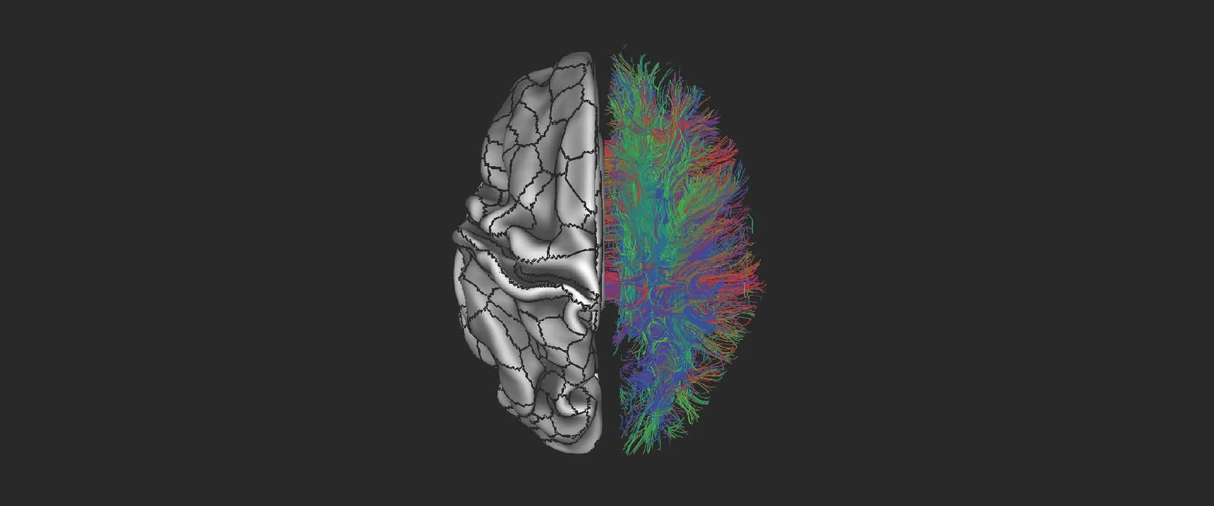 Einstein in the dome: Dem Gehirn auf der Spur | visitBerlin.de