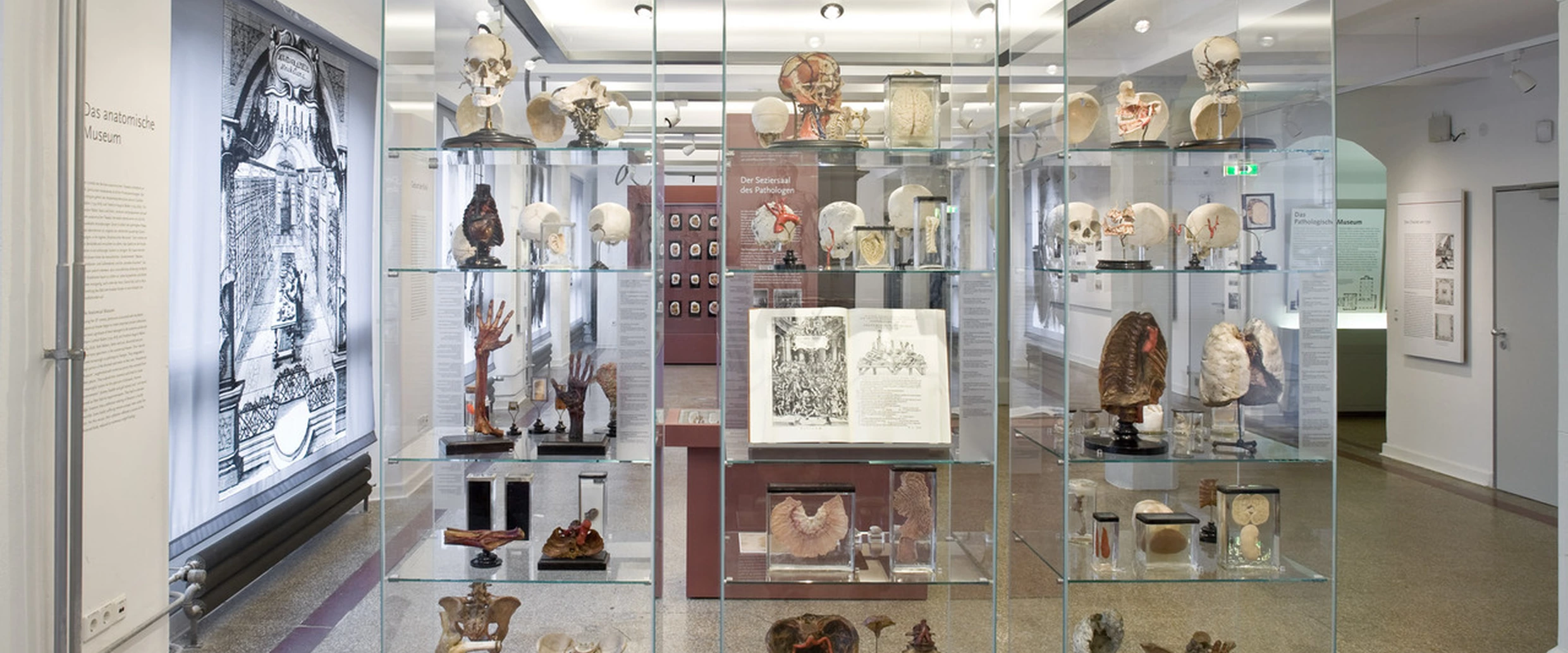 Medical History Museum in Berlin | visitBerlin.de