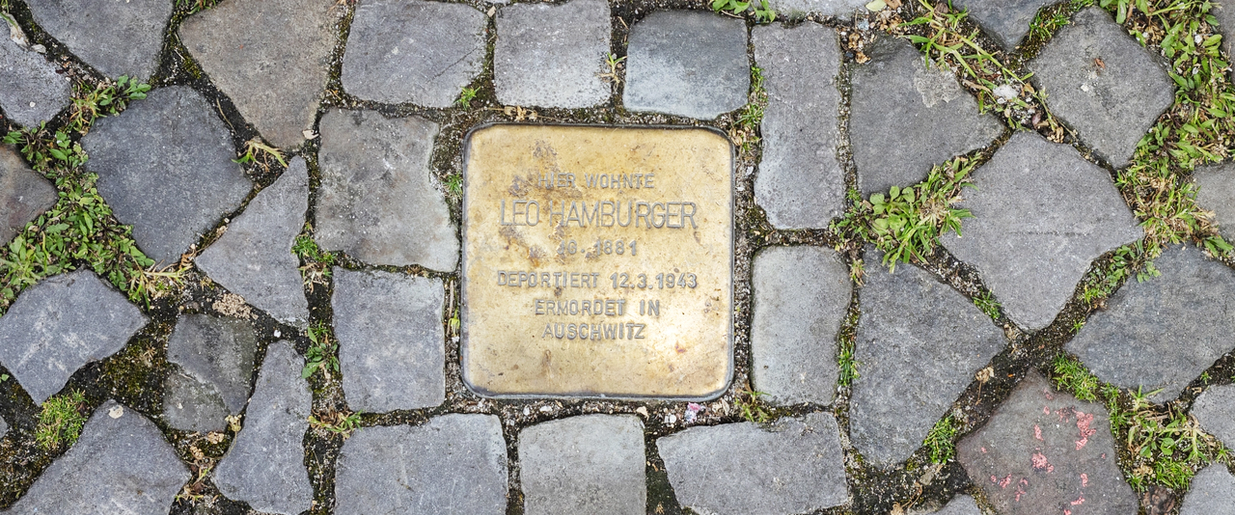 Stolpersteine | visitBerlin.de