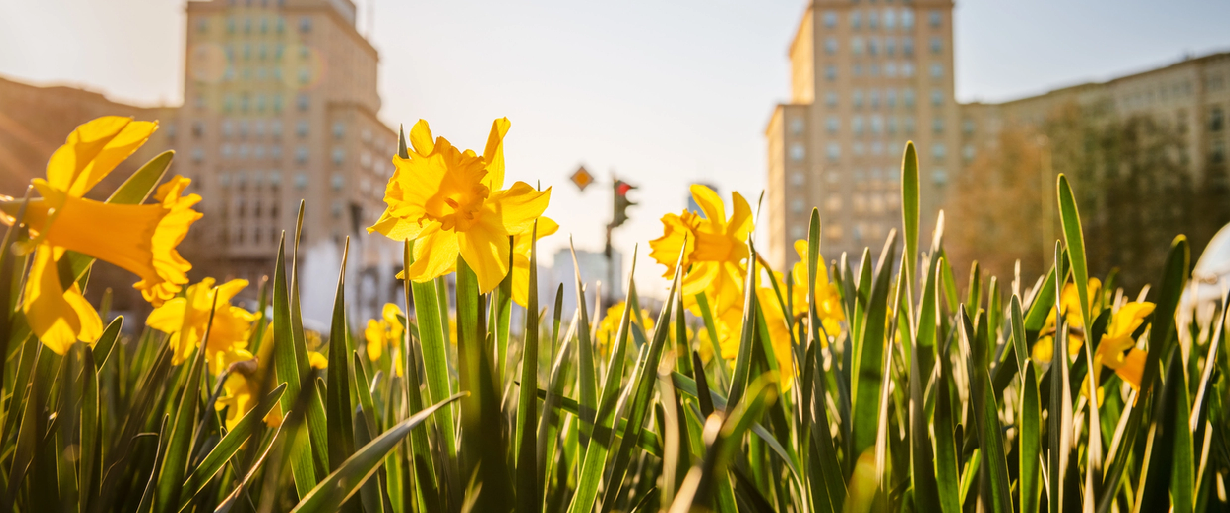 11 reasons to look forward to spring in Berlin | visitBerlin.de