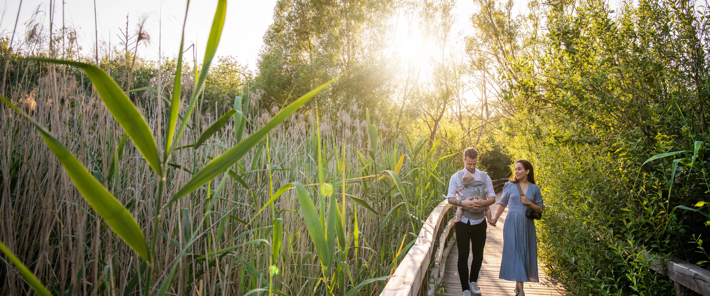 Berlin Nature - lakes, parks & green attractions | visitBerlin