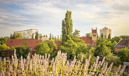 Berlin Nature - lakes, parks & green attractions | visitBerlin